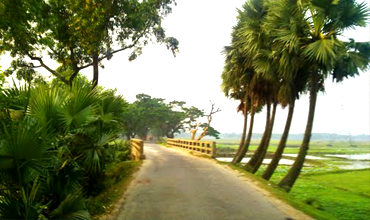 Kaliakoir Pourashava Home